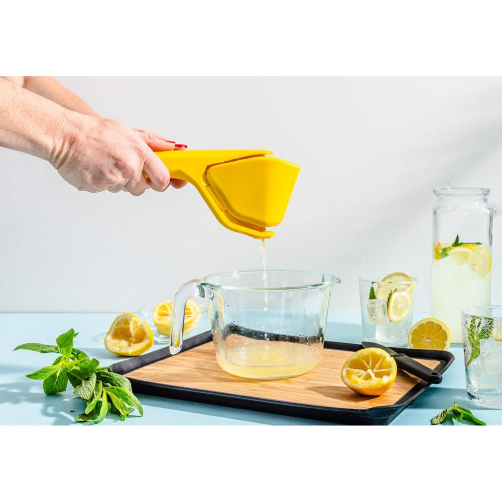 Dreamfarm Fluicer Fold Flat Easy Juicer – The Home Provedore